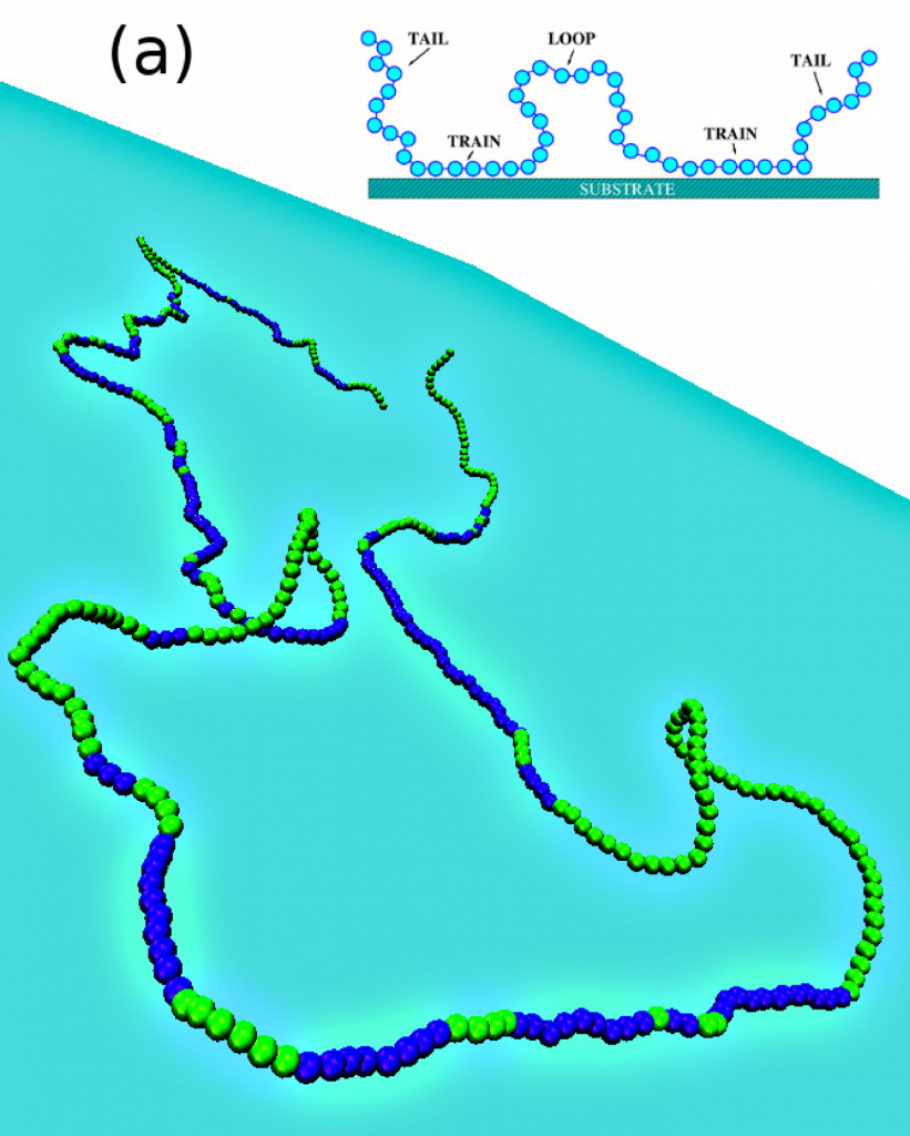 Linear Dimensions of Adsorbed Semiflexible Polymers: What can be ...