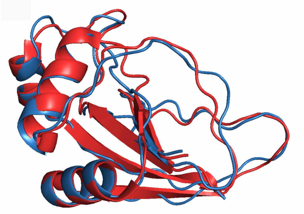 On topology and knotty entanglement in protein folding - EUTOPIA