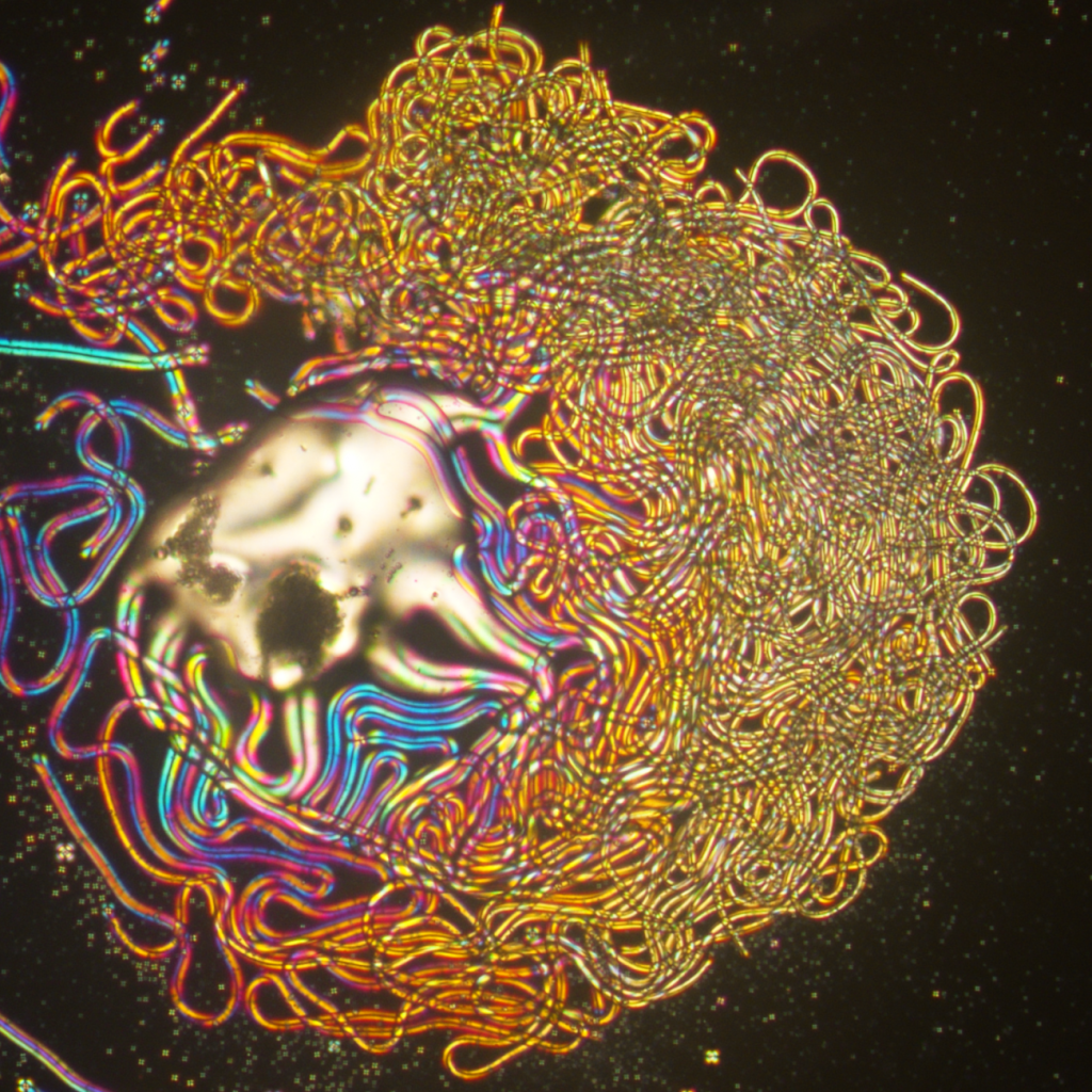 Self-shaping liquid crystal droplets by balancing bulk elasticity and ...